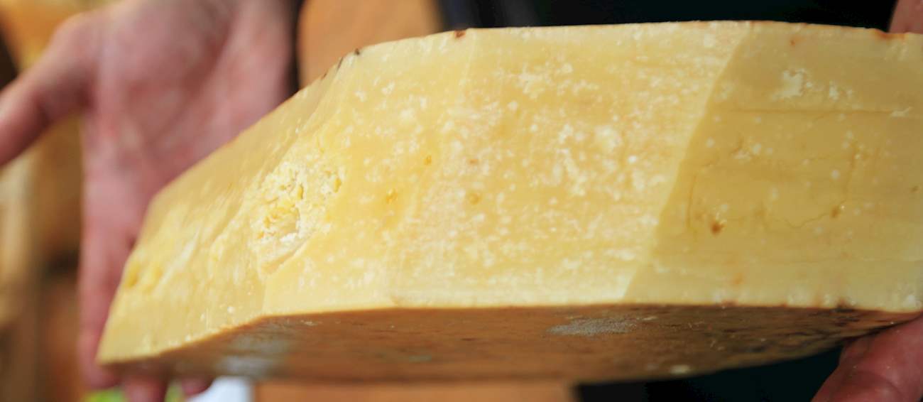 Bitto | Local Cheese From Valtellina, Italy