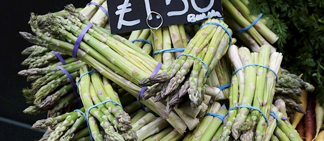Stalk Vegetables of the World: 23 Stalk Vegetable Types | TasteAtlas
