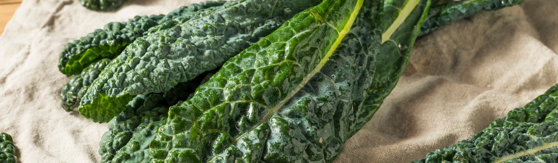 5 Best Vegetables in Tuscany - TasteAtlas