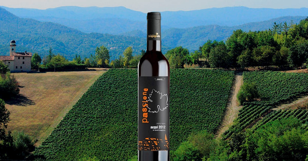Brachetto D’Acqui Passito | Local Wine Appellation From Province of ...