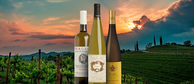 Friulian Wine Varieties: 8 Wine Variety Types in Friuli-Venezia Giulia ...