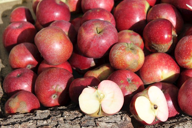 Italian Fruits: 42 Fruit Types in Italy | TasteAtlas