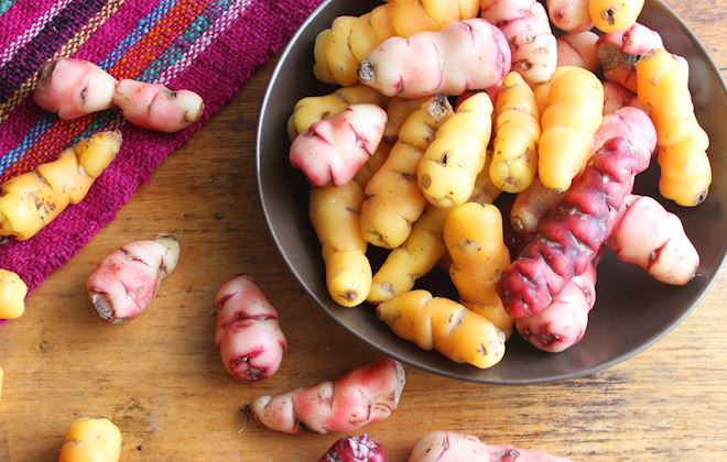 Argentinian Vegetables: 4 Vegetable Types in Argentina | TasteAtlas