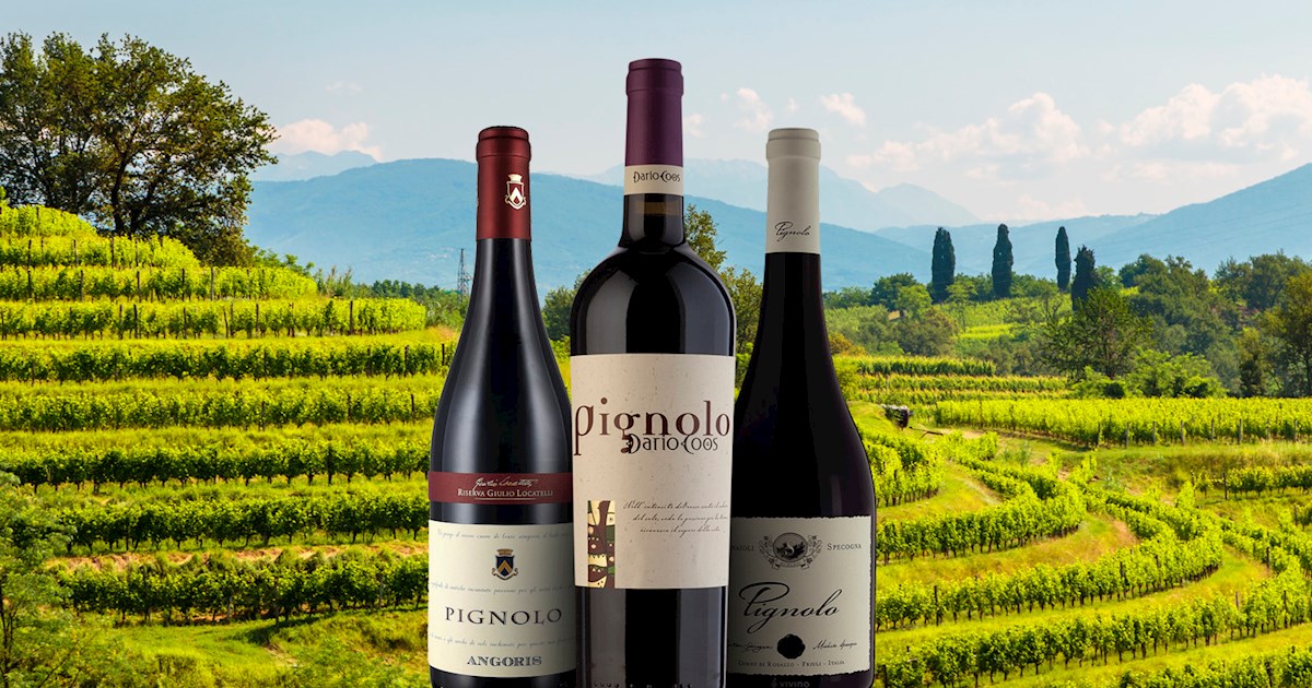 Pignolo | Local Wine Variety From Friuli-Venezia Giulia, Italy
