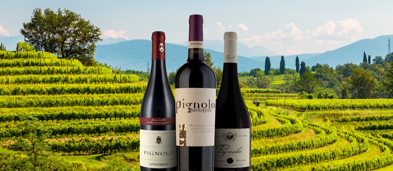 Pignolo | Local Wine Variety From Friuli-Venezia Giulia, Italy