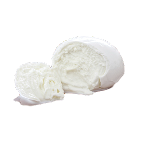 Bai Mudan | Local Tea From Fujian, China