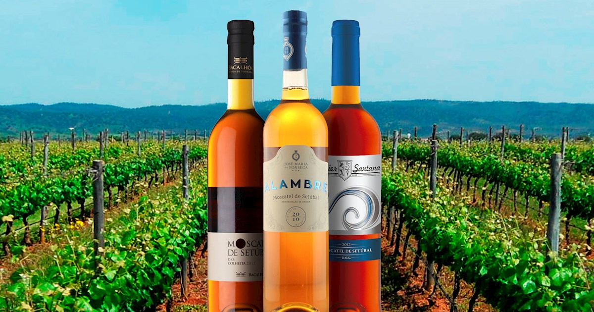 Moscatel de Setúbal | Local Wine Appellation From Setúbal District ...
