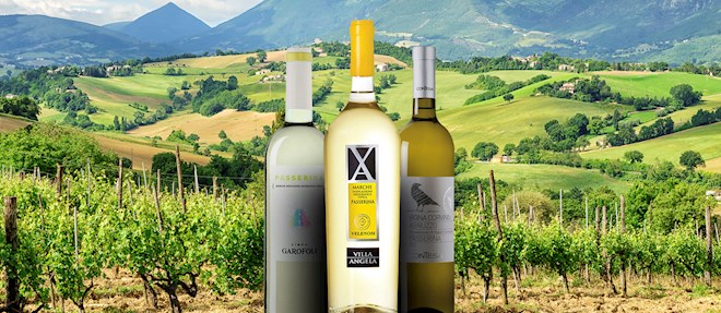 Italian Wine Varieties: 84 Wine Variety Types in Italy | TasteAtlas