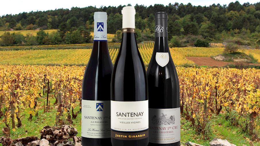 33 Best Red Wines in Burgundy - TasteAtlas