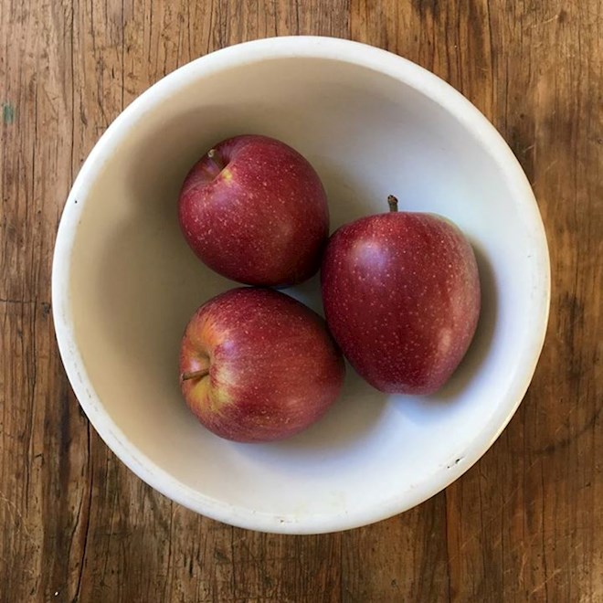 American Apple Varieties: 49 Apple Variety Types in United States of ...