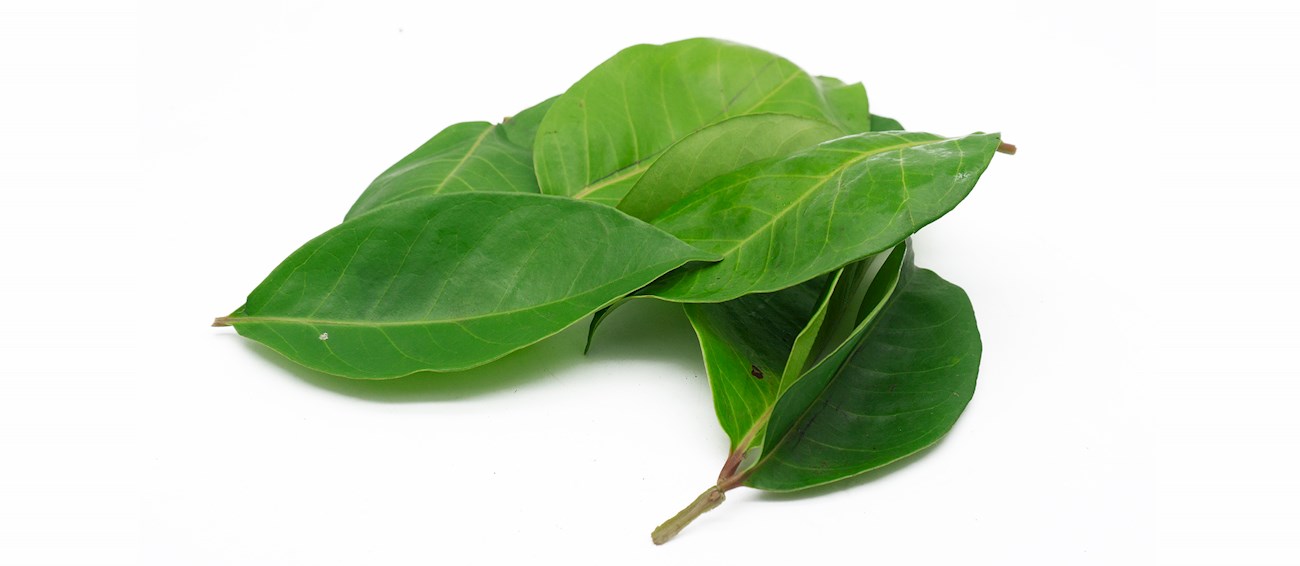 5 Best Plant Leaves in the World - TasteAtlas