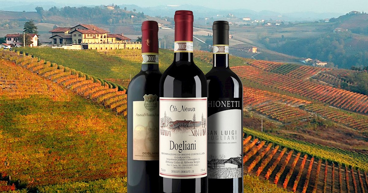 Dogliani | Local Wine Appellation From Province of Cuneo, Italy