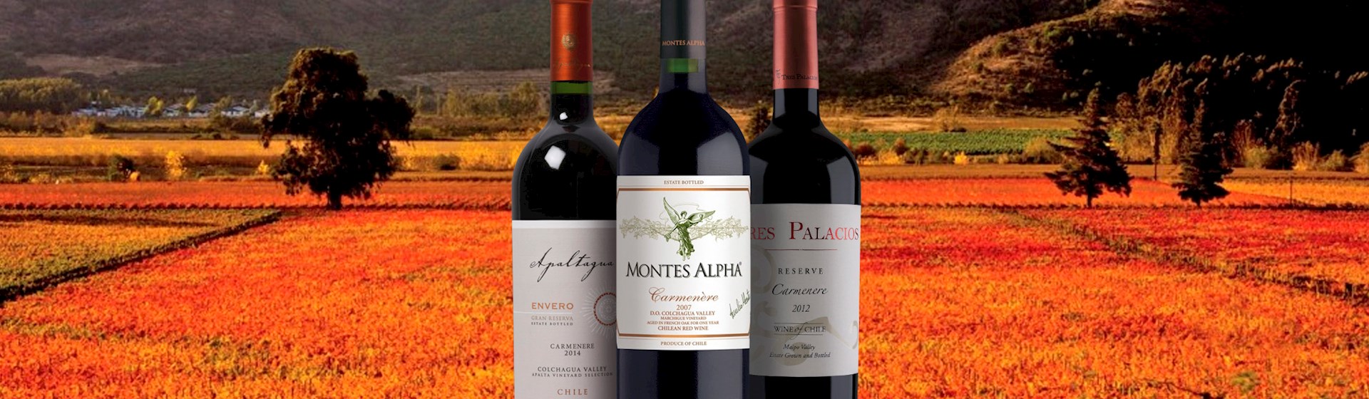 90 Best Beverages in Chile - TasteAtlas
