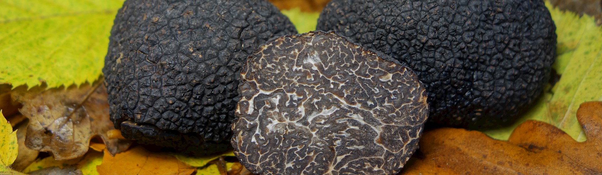 Top 15 Truffles in the World - TasteAtlas