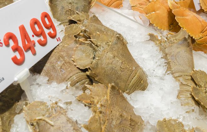 Shellfish of the World: 47 Shellfish Types | TasteAtlas