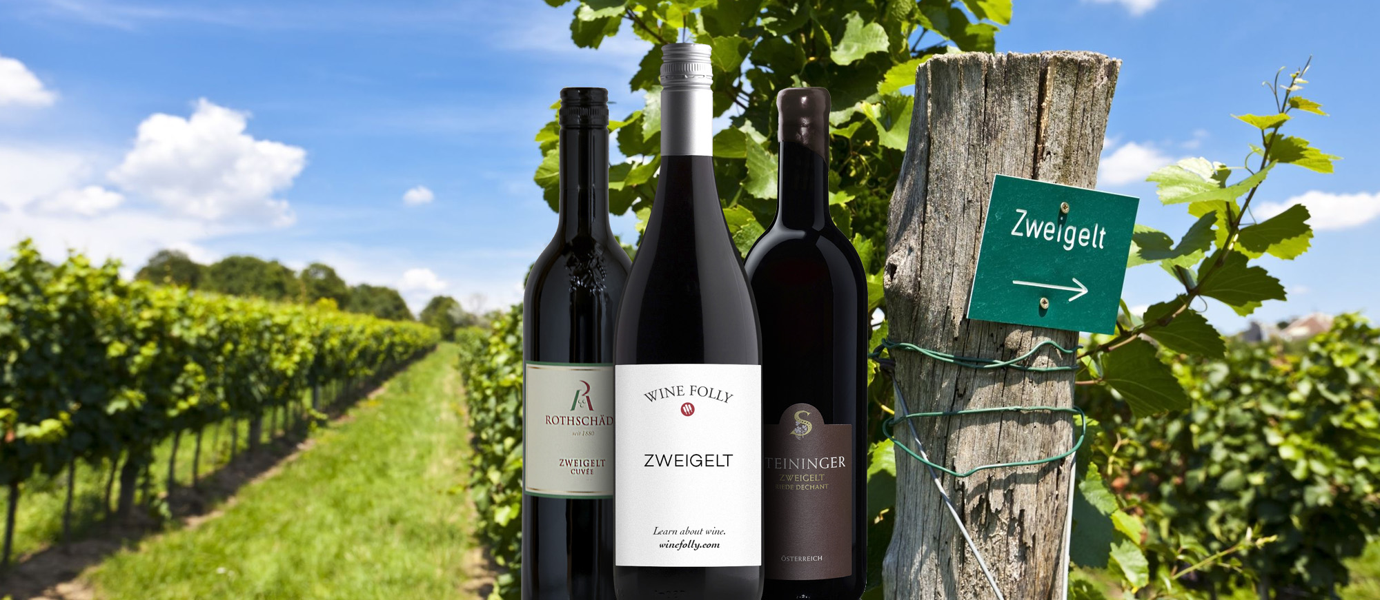 Zweigelt | Traditional Wine Variety From Austria | TasteAtlas