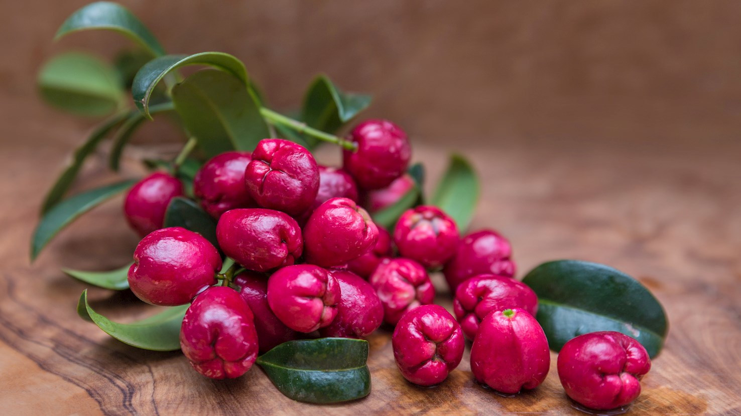 Top 6 Australian Fruits - TasteAtlas