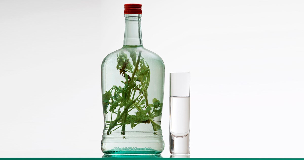 7 Worst Rated Croatian Spirits and Liqueurs - TasteAtlas