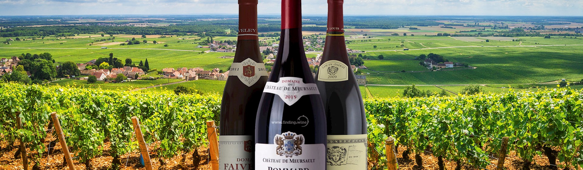 30 Best Red Wines in Côte-d'Or - TasteAtlas
