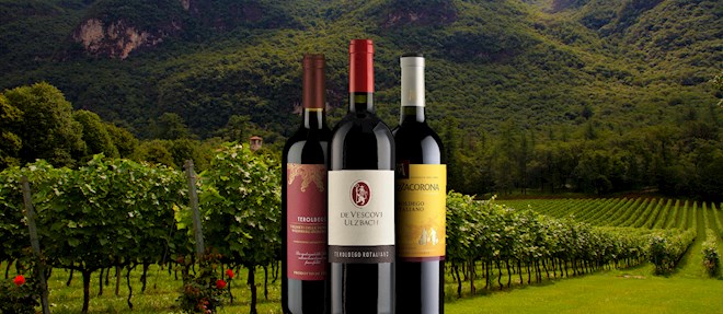 Italian Wine Varieties: 84 Wine Variety Types in Italy | TasteAtlas