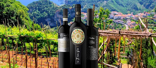 Apulian Red Wines: 11 Red Wine Types in Apulia | TasteAtlas