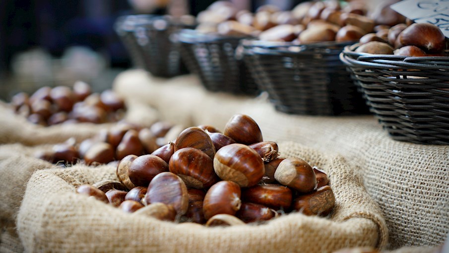 4 Best Nuts in France - TasteAtlas