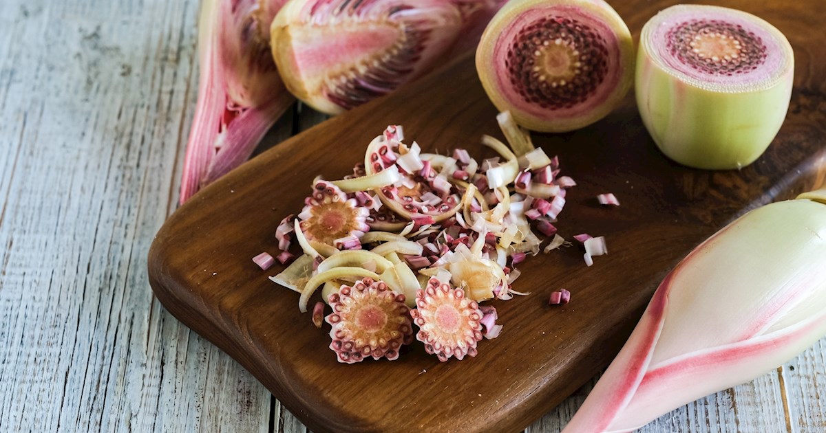 4 Best Flowers in the World - TasteAtlas