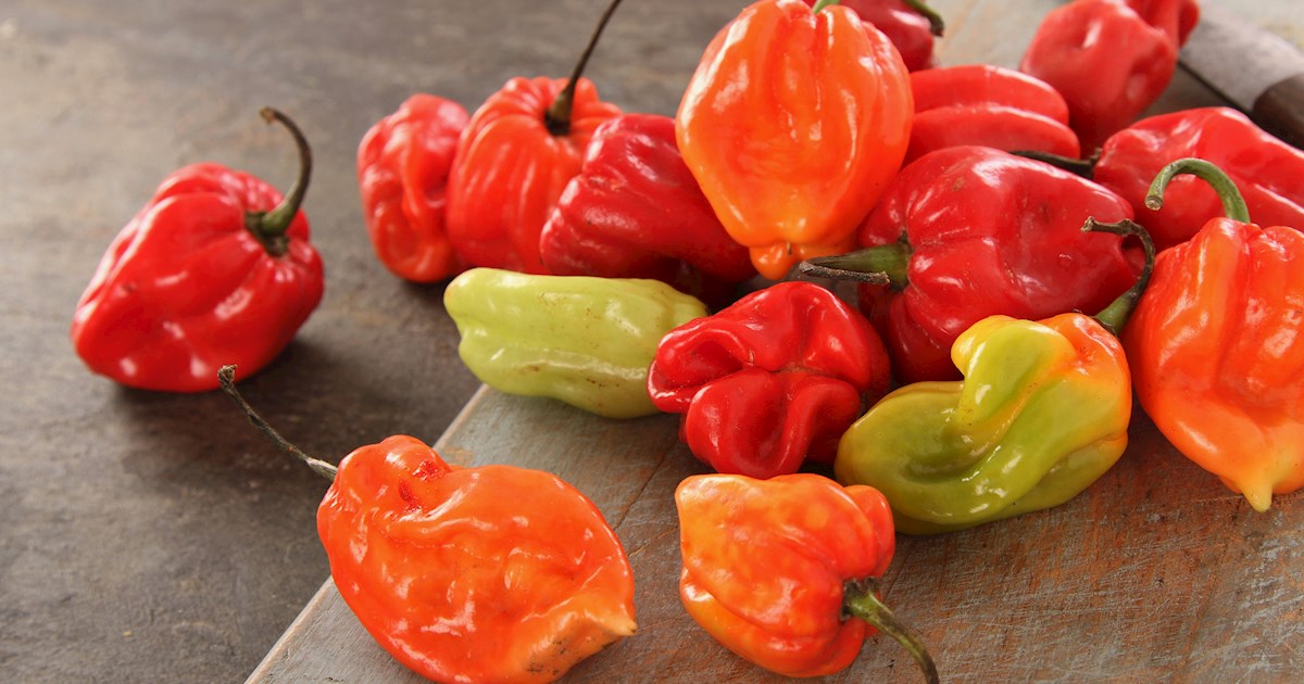 3 Best Peppers in the Caribbean - TasteAtlas