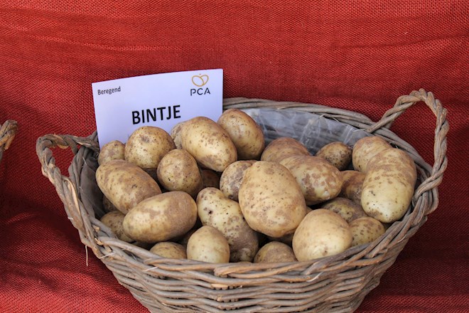 European Potatoes: 42 Potato Types in Europe | TasteAtlas