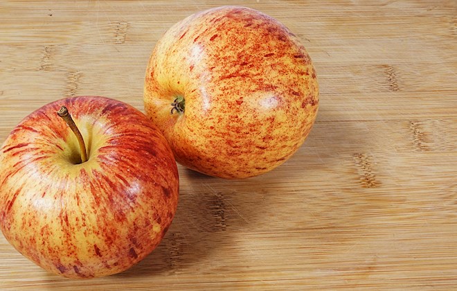 North American Apples: 54 Apple Types in North America | TasteAtlas