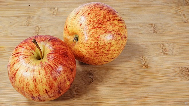 American Apple Varieties: 49 Apple Variety Types in United States of ...