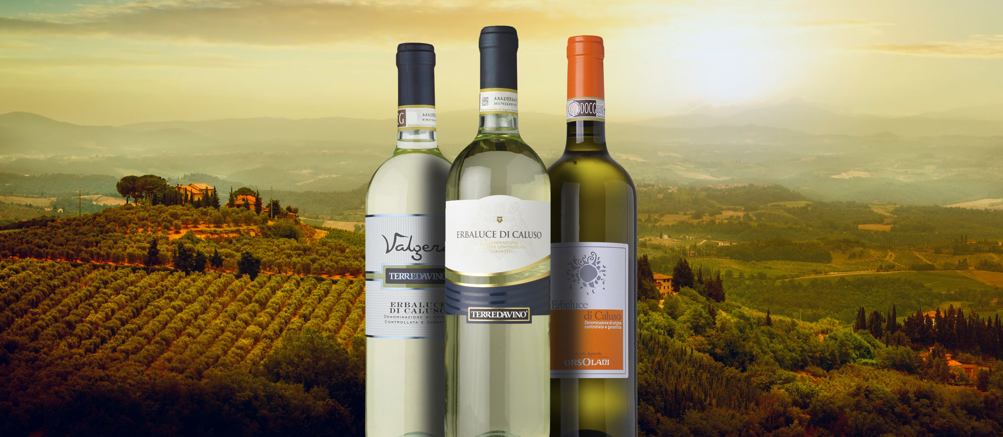 Erbaluce di Caluso | Local Wine Appellation From Piedmont, Italy