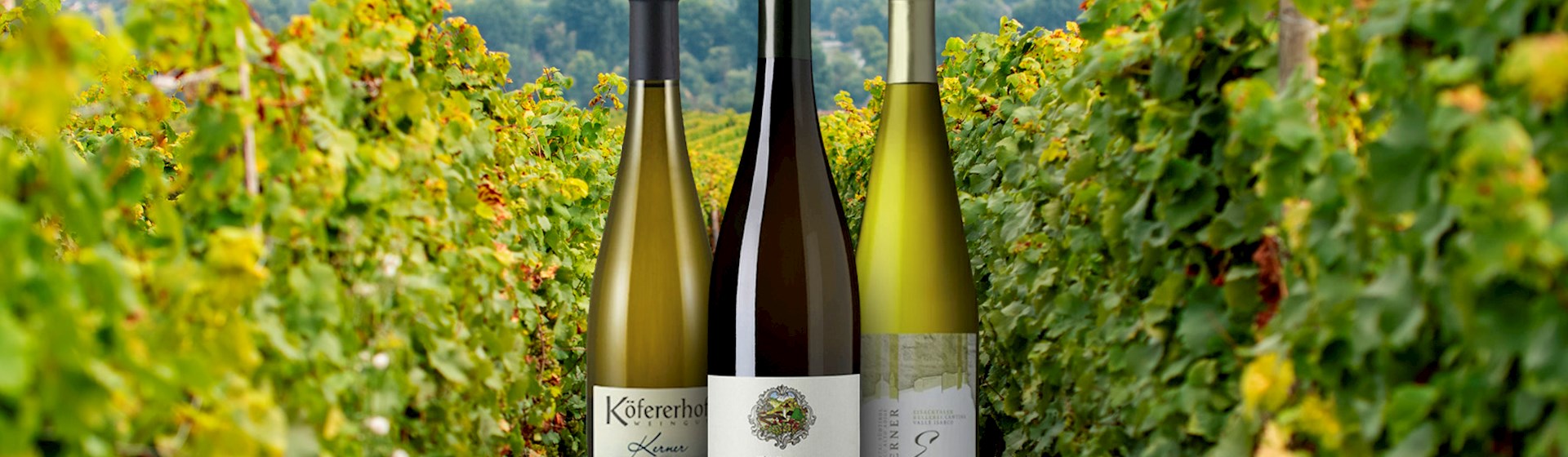 43 Best Wine Varieties in Germany - TasteAtlas