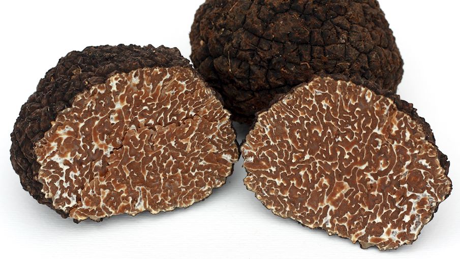 14 Best Truffles in the World - TasteAtlas