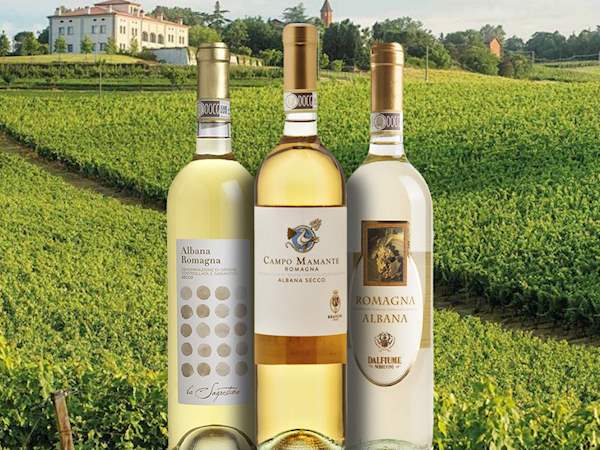 10 Most Popular German Alcoholic Beverages - TasteAtlas