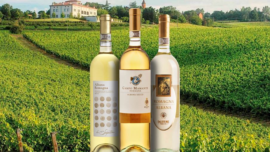 4 Best White Wines in Emilia-Romagna - TasteAtlas