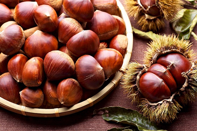 Chestnuts of the World: 20 Chestnuts Types | TasteAtlas