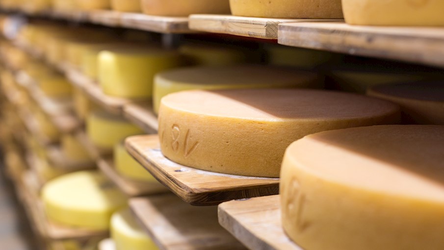 40 Best Cheeses in Germany - TasteAtlas