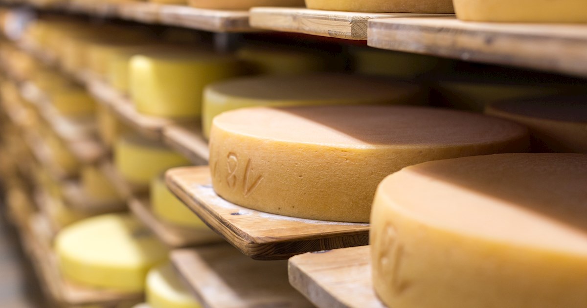 3 Worst Rated German Semi-hard Cheeses - TasteAtlas