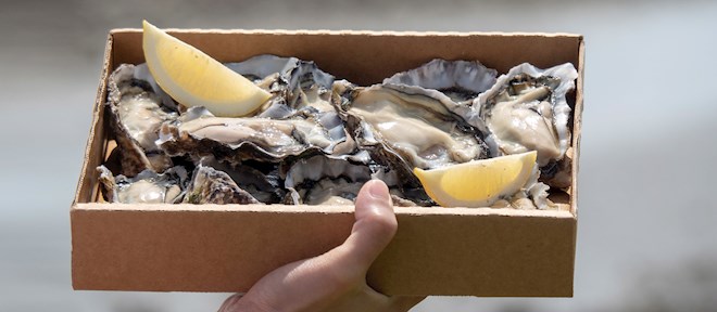 Oysters of the World: 16 Oysters Types | TasteAtlas