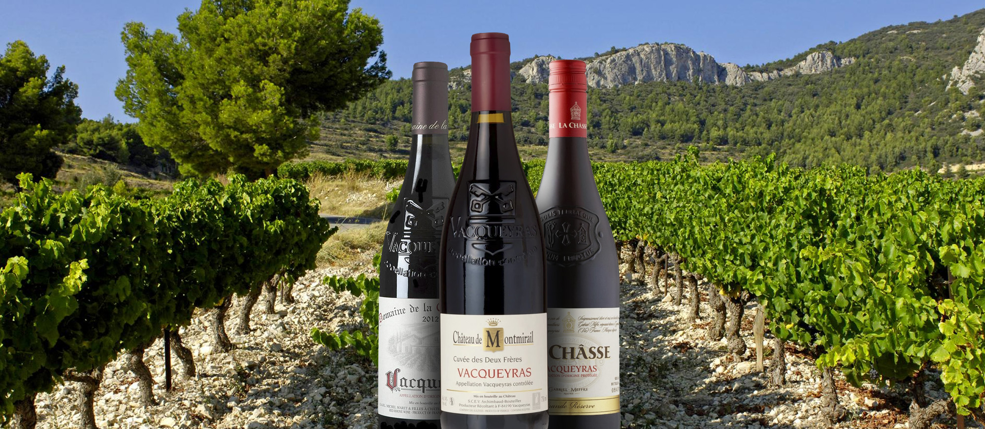 Vacqueyras | Local Wine Appellation From Vaucluse, France