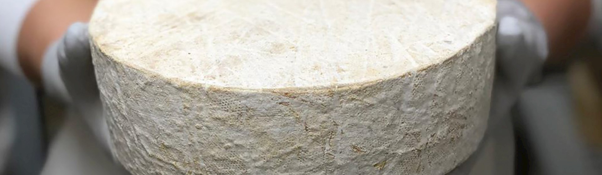 17 Best Sheep's Milk Cheeses in the United Kingdom - TasteAtlas