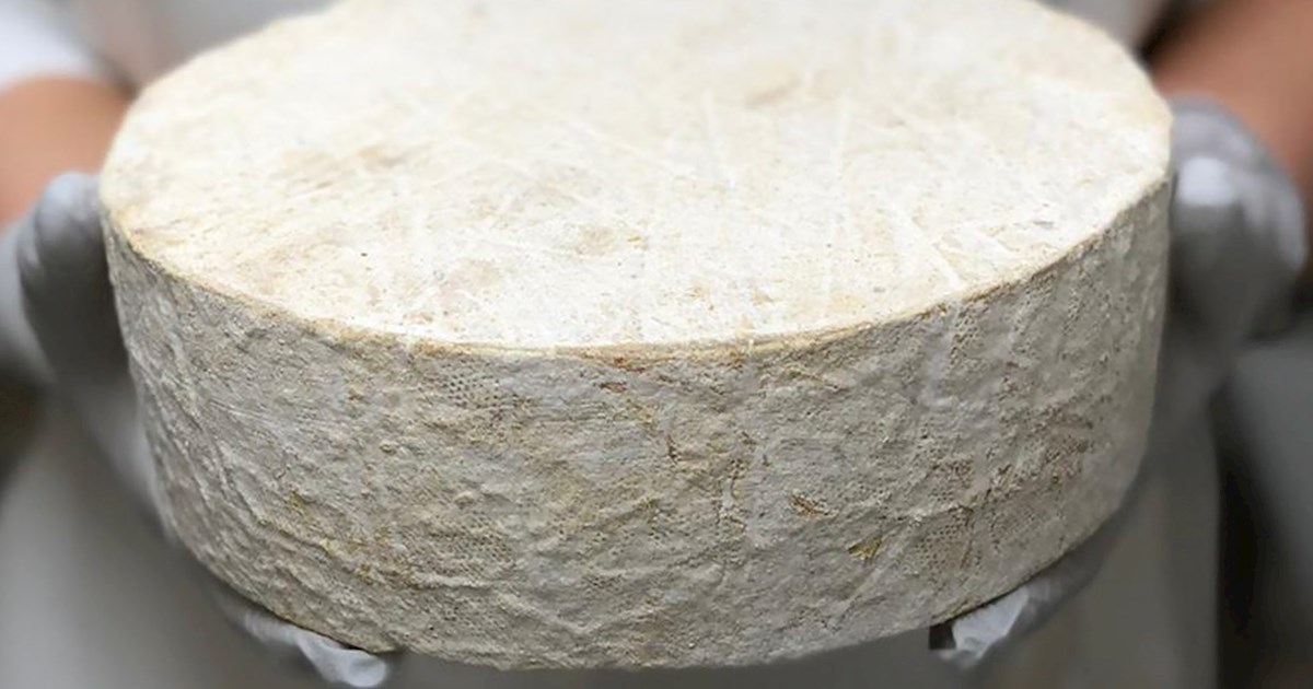17 Best Sheep's Milk Cheeses in the United Kingdom - TasteAtlas