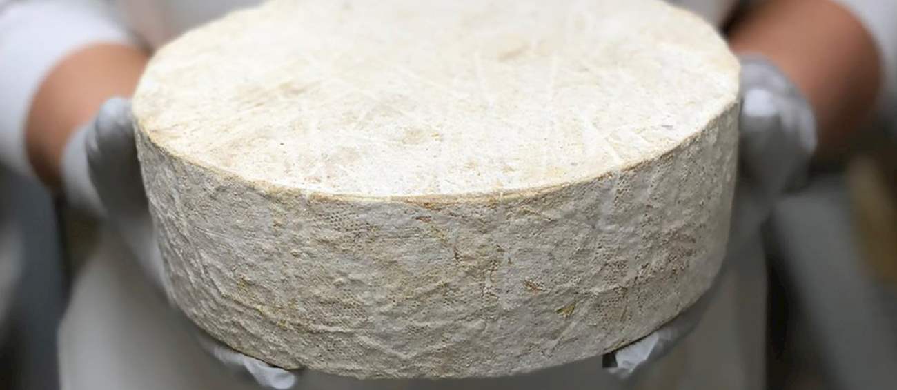 17 Best Sheep's Milk Cheeses in the United Kingdom - TasteAtlas