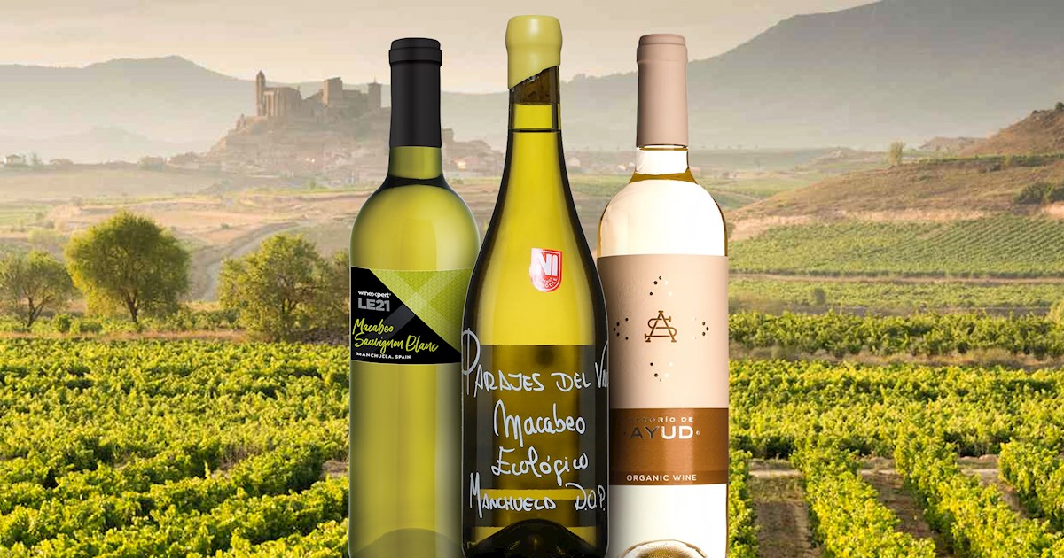 Macabeo | Local Wine Variety From Spain, Western Europe