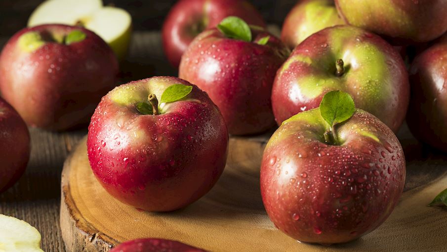 Worst Rated Apples in the World - TasteAtlas