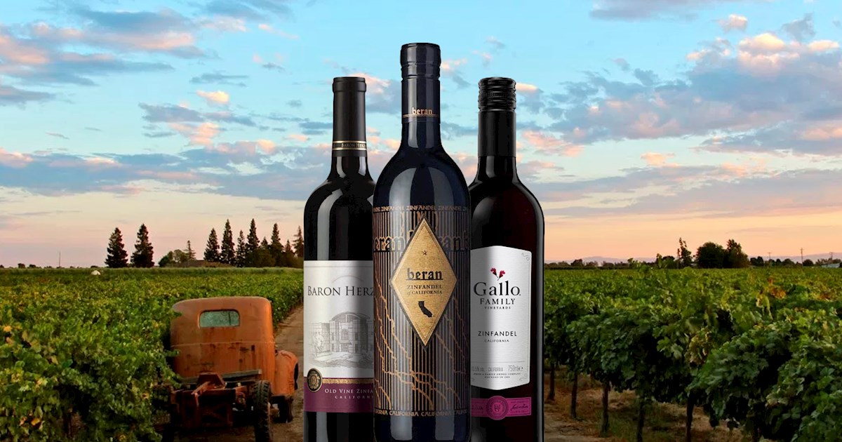 Zinfandel | Local Wine Variety From California, United States of America