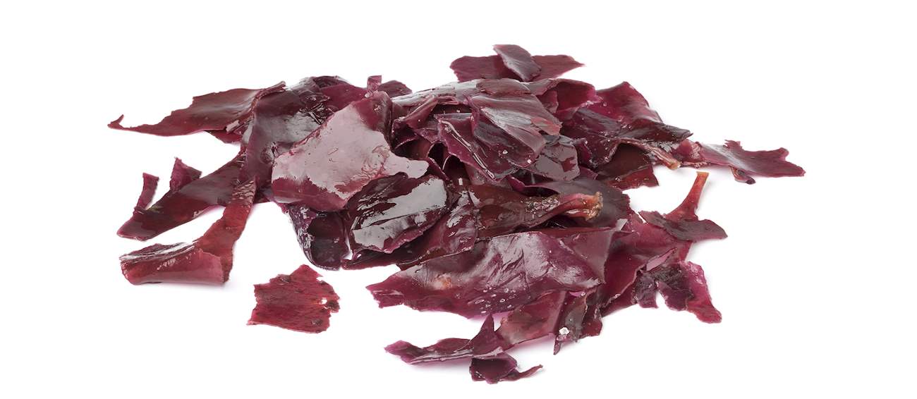 Dulse | Local Seaweed From Northern Ireland, United Kingdom