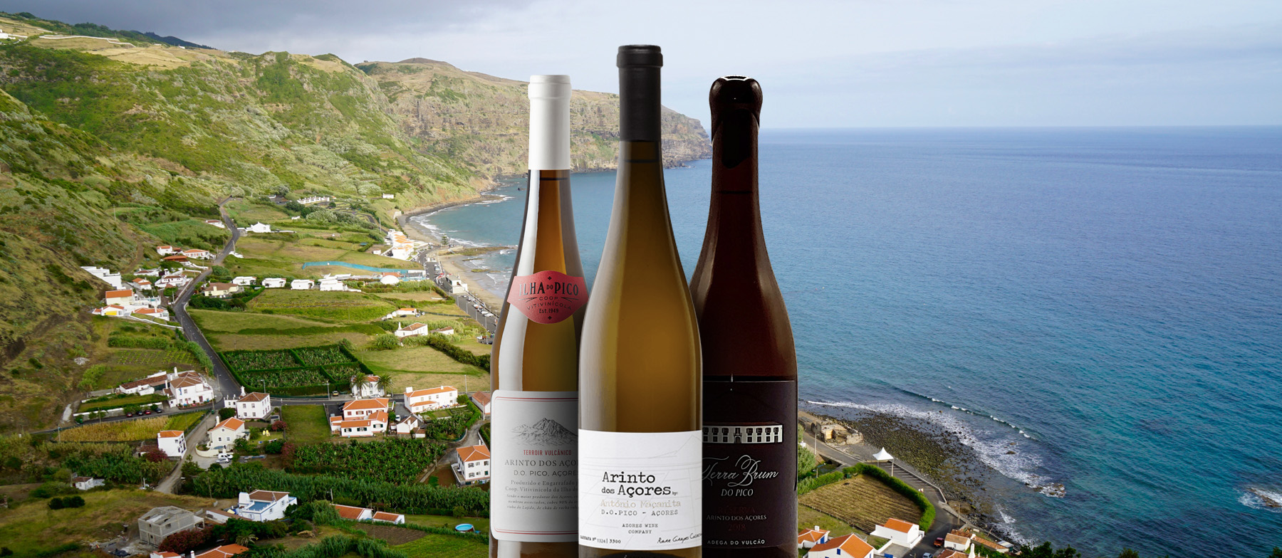Arinto Dos Açores | Local Wine Variety From Azores, Portugal