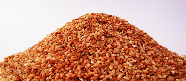 TasteAtlas - Local food around the world